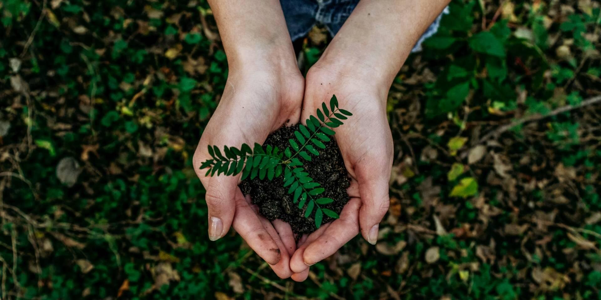 VP-BMX Bottom Bracket & Cycle Headset Bearings Manufacturers